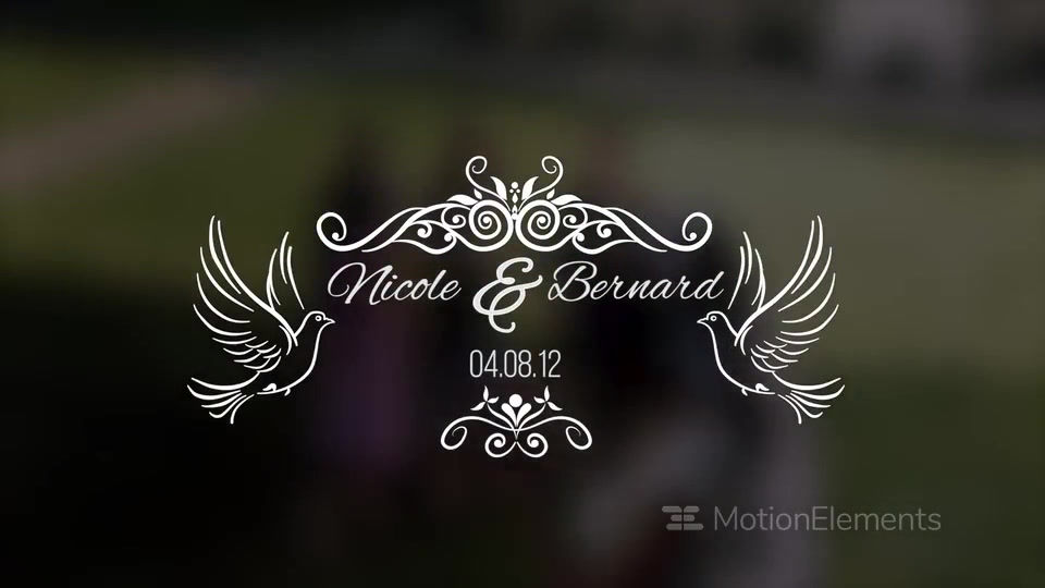 Wedding Titles Premiere Pro Template | 11552804