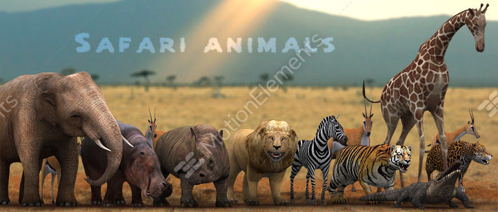 3DRT-characters-Safari-animals-pack 3D models | 11915998