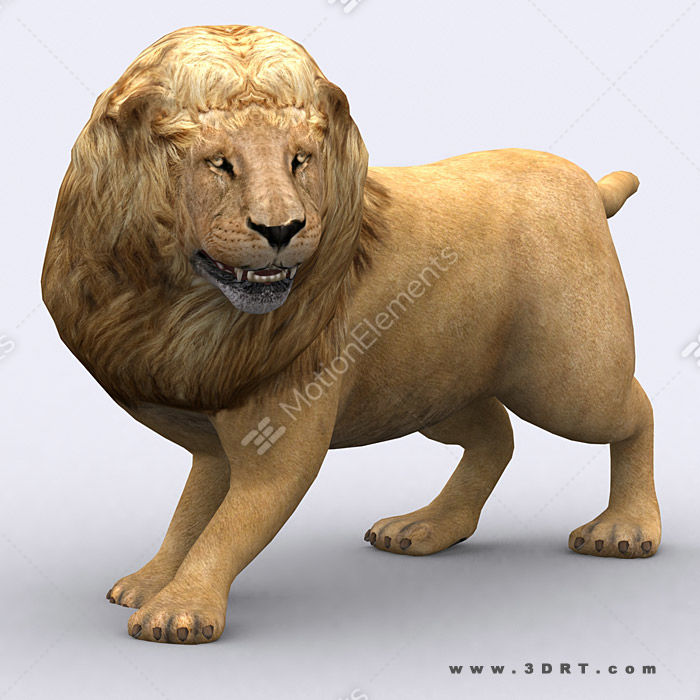 3DRT-characters-Safari-animals-pack 3D models | 11915998