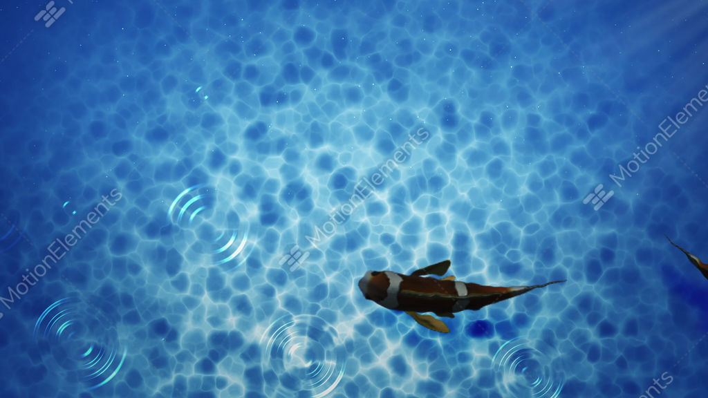 Underwater Ocean Gif Loop