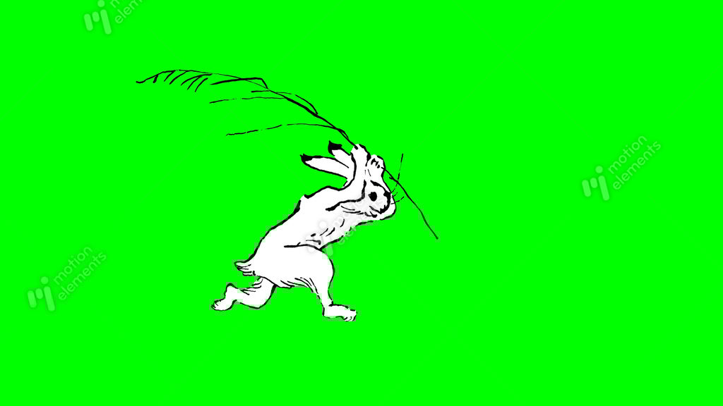 Running Rabbit Cartoon