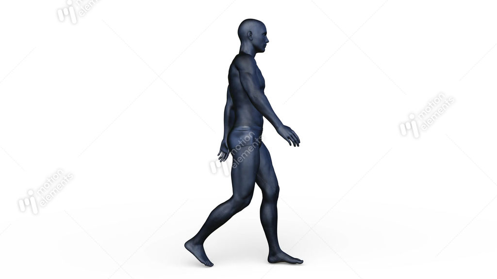 3d Walking Animation