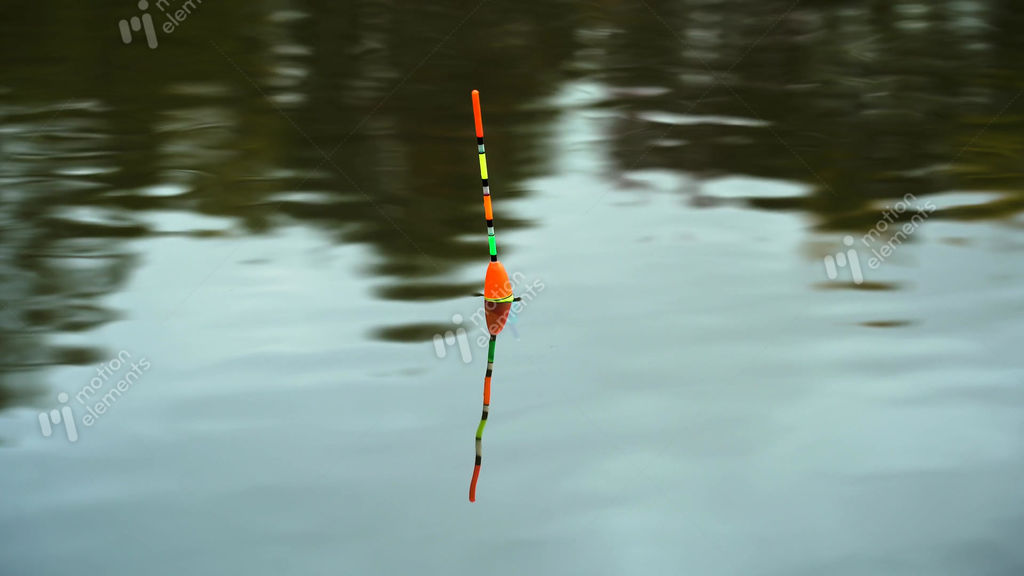 Fishing Float Bobbing Gif